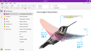 OneNote Versions Explained