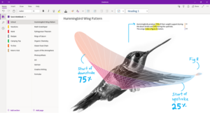 OneNote Versions Explained